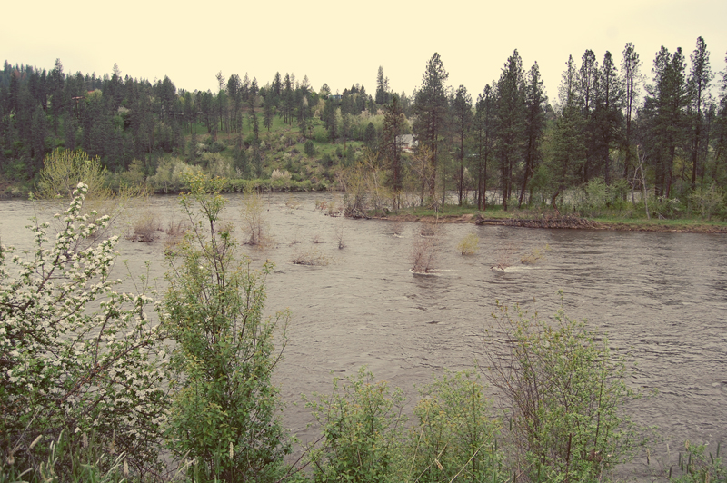 A Great Leap in the Dark: Clearwater rising