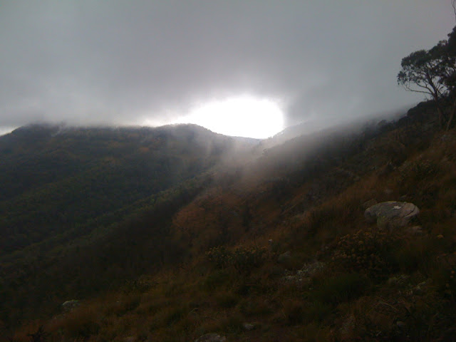 Trails and Tracks: Trip Report: Mt Clear Traverse