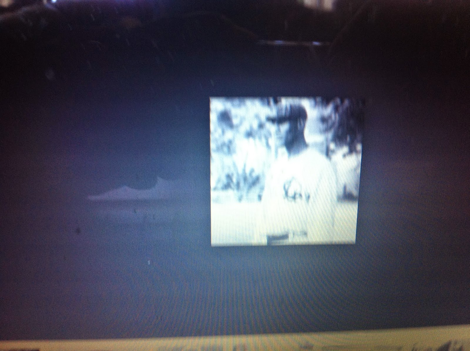 THE BLACK SOCIAL HISTORY:: BLACK SOCIAL HISTORY : AFRICAN AMERICAN ...