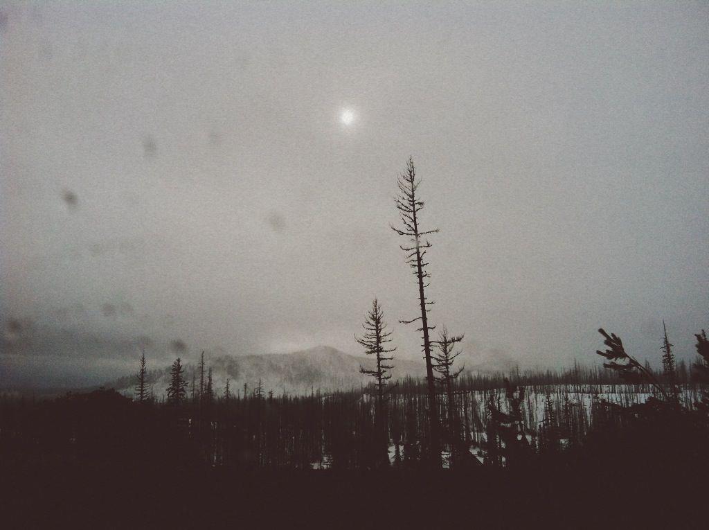 Jamie Jones Photography