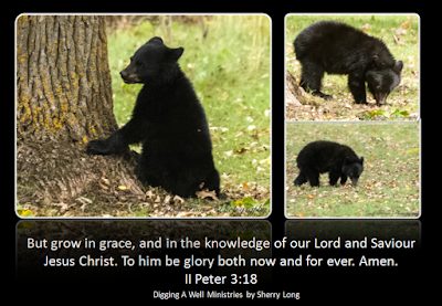 Digging a Well Ministries: GROW IN GRACE AND KNOWLEDGE