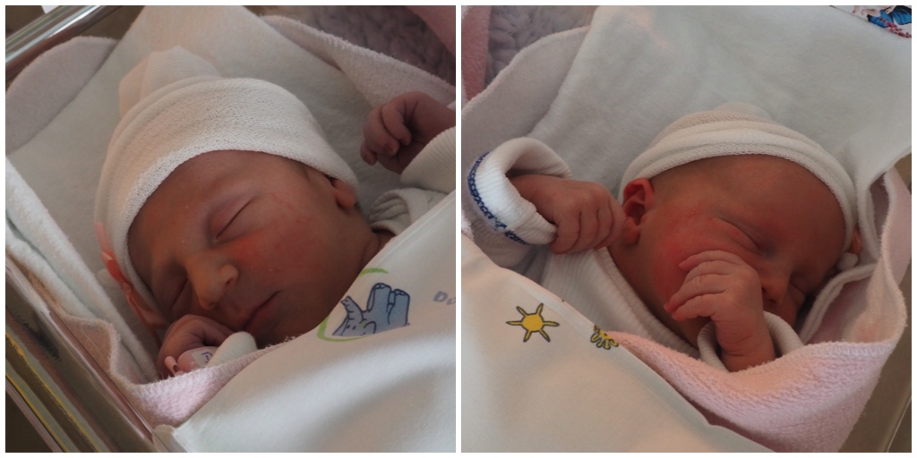 The Stingeries: Twin Tuesday: Evelyn and Olivia's Birth Story
