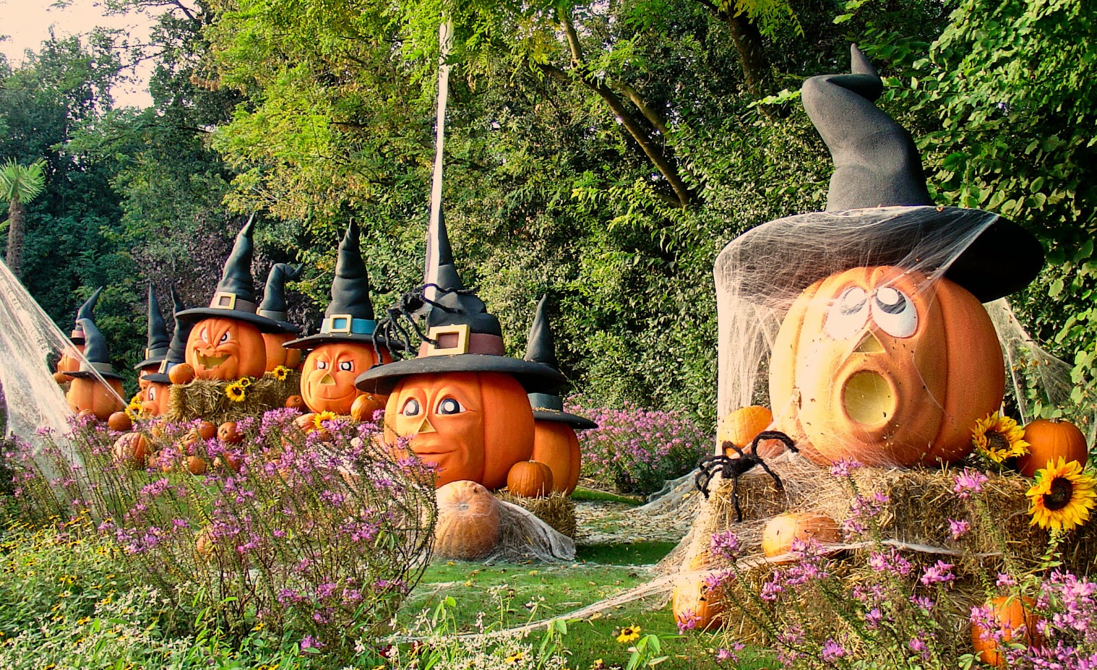 Exploring Italy's Veneto region