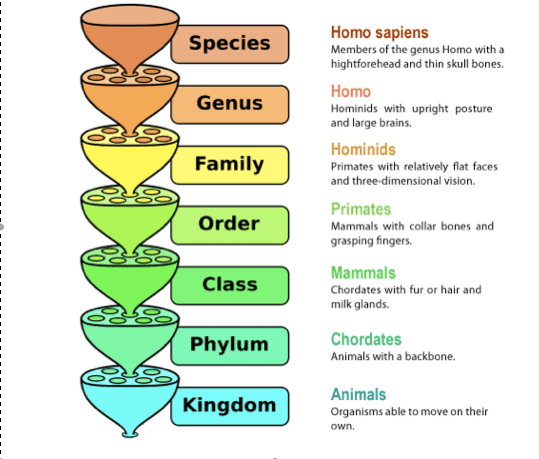 ELECTRON MICROSCOPE, SUPERBUG AND ETC