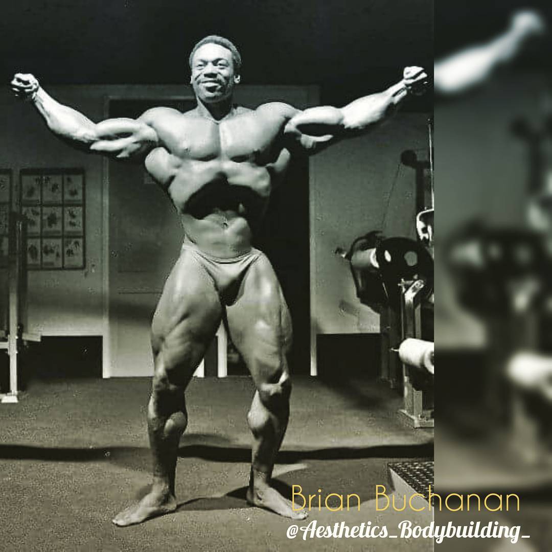 ElJoseLuis: BRIAN BUCHANAN Y UNA CINTURA DE AVISPA