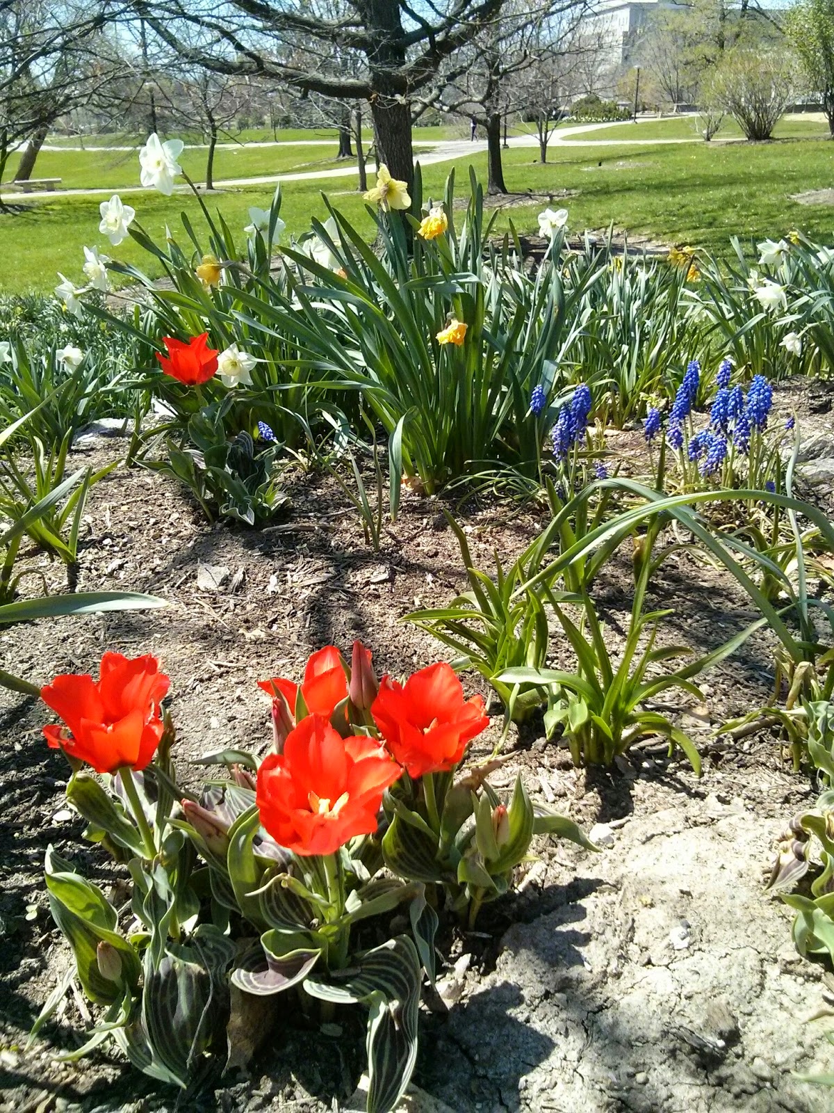 Bloomington, IN: IU Arboretum (Spring) - Explore This City