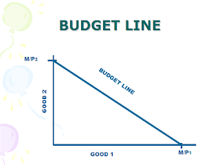 BUDGET SET/ BUDGET LINE INDIFFERENCE CURVE ANALYSIS