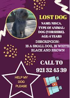 OUR ENGLISH CLASS: Challenge: Creating posters