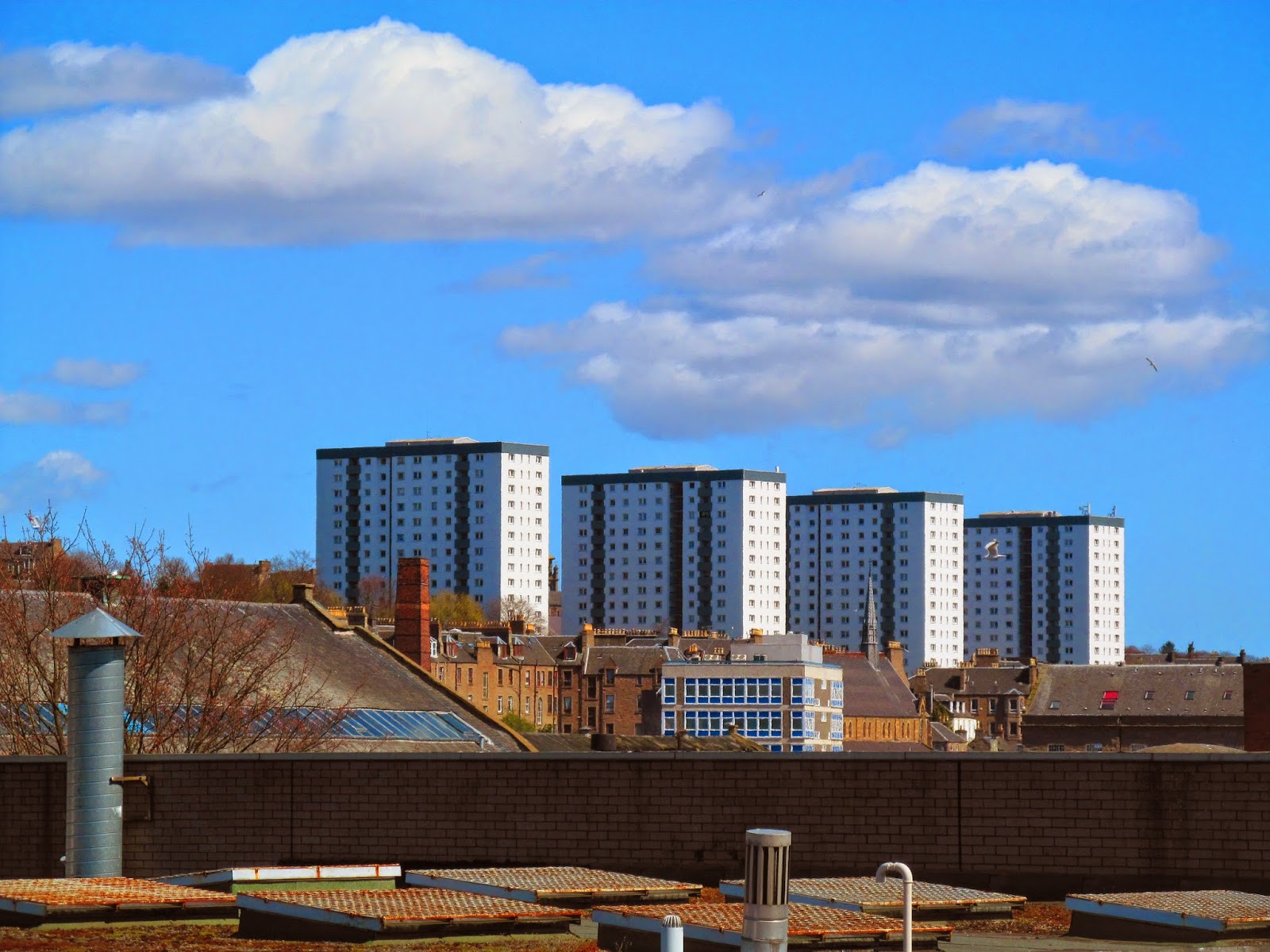 Dundee Photos - City of Discovery: Dallfield Multis Dundee