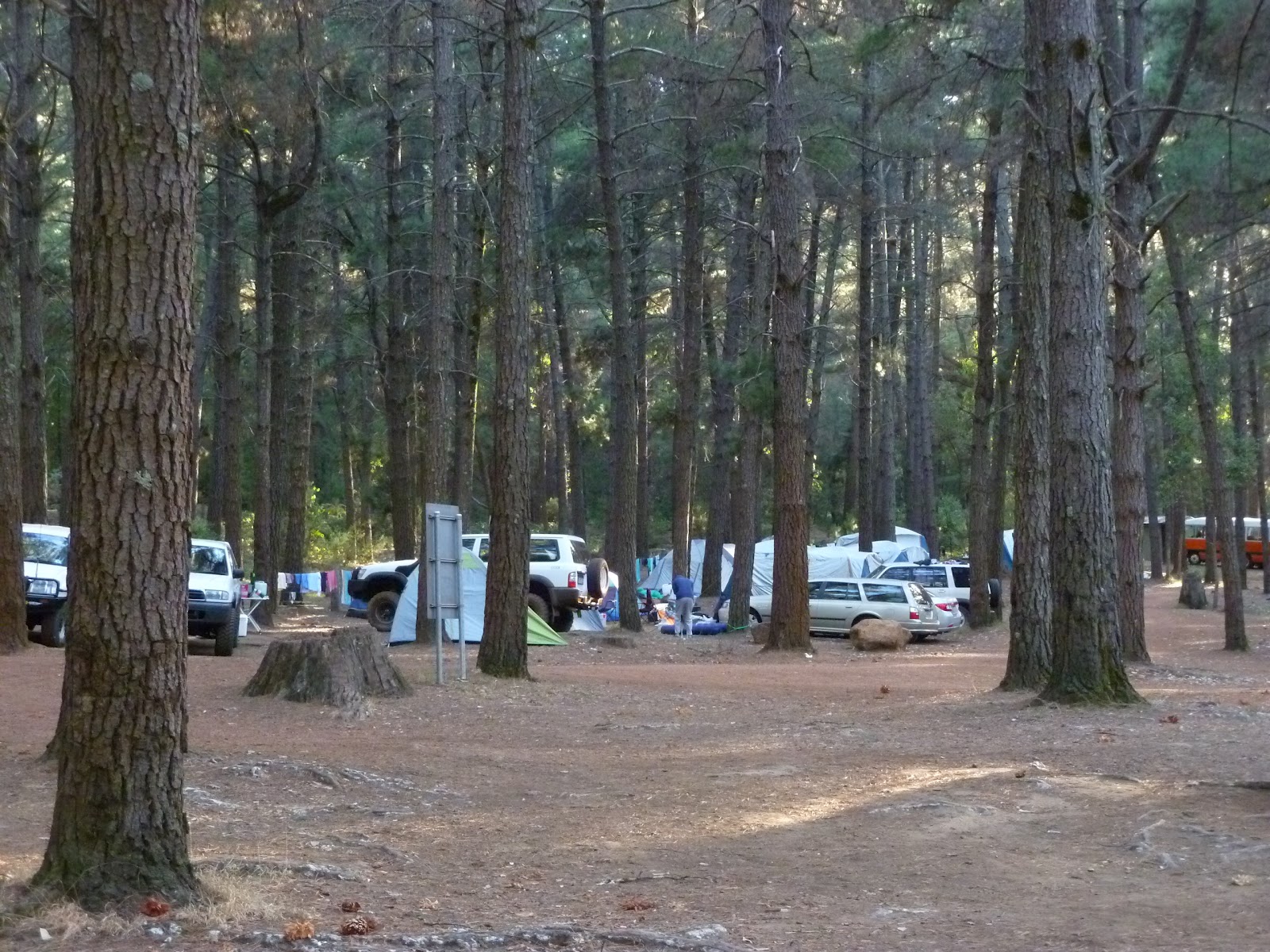 ren's space: Baden Powell camp ground dwellingup