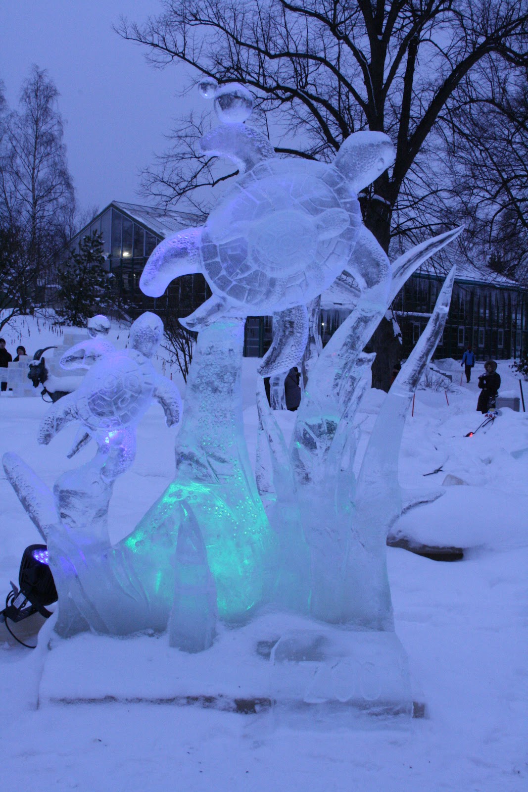 A Scandinavian interlude: Ice sculpting at the Helsinki Zoo