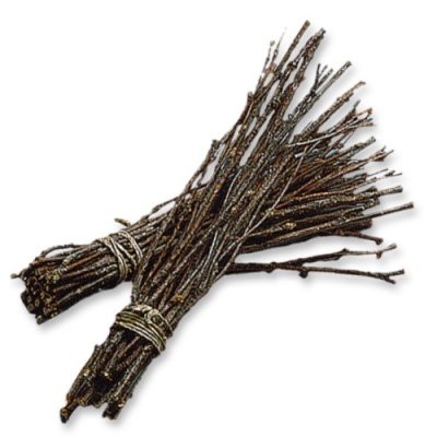 Hermione's Heart: From the Top Shelf - The Rod Room