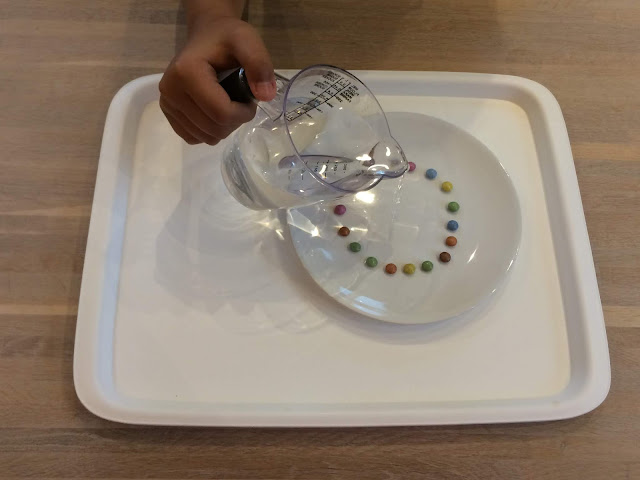 Family FECS: Science Experiment on Diffusion - Skittle Rainbow