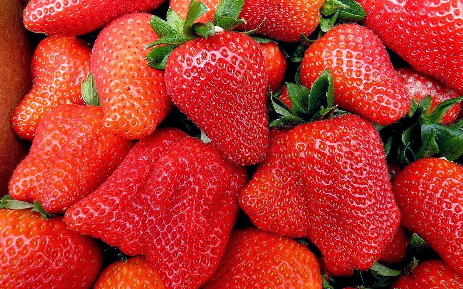Beautiful Nice Stobery Fruits HD Wallpapers