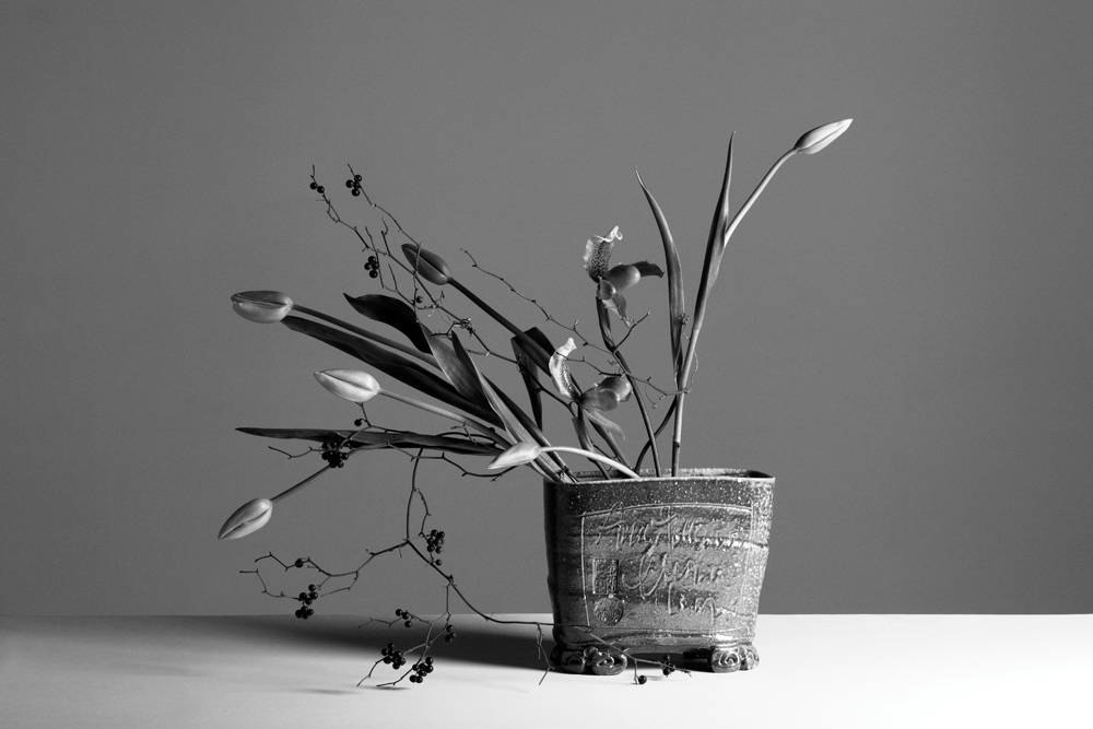ikebana: bo don by andrew stinson for drop magazine! | visual optimism ...