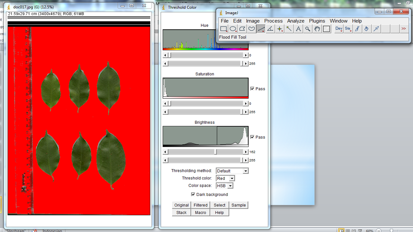 Best part of our life: Sharing! : [ImageJ] Threshold Color dan Wand ...