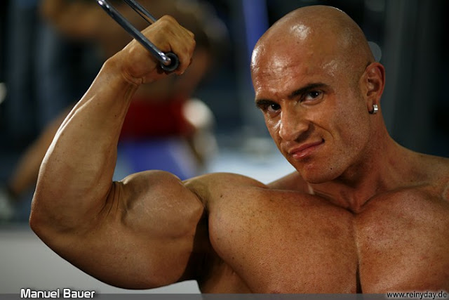 Knights of Bodybuilding: MANUEL BAUER