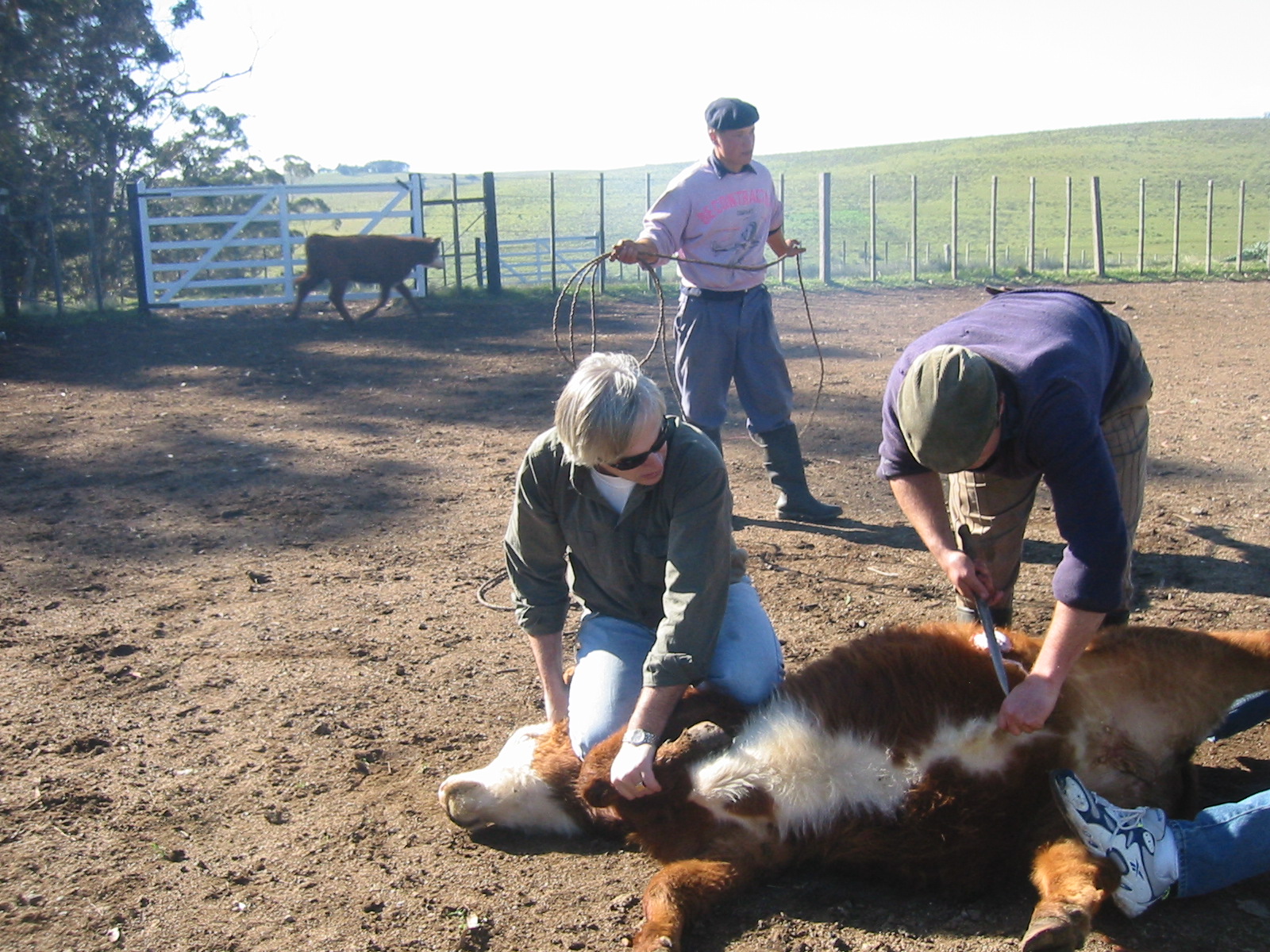 Bien Campero: La Yerra