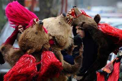 CRISTIAN NISTOR: DANSUL URSULUI