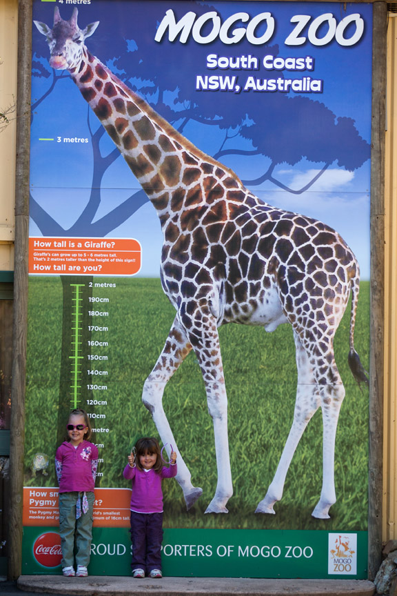 Robertsons Great Aussie Adventure: MOGO ZOO