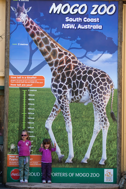 Robertsons Great Aussie Adventure: MOGO ZOO