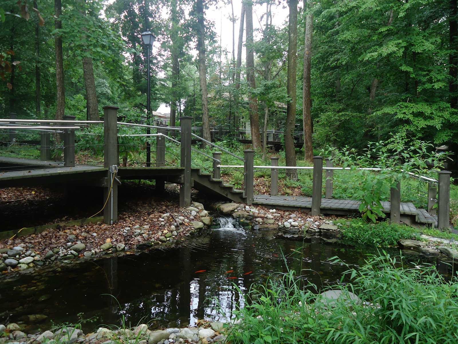 60 Hikes: Hike 21: Cosca Regional Park