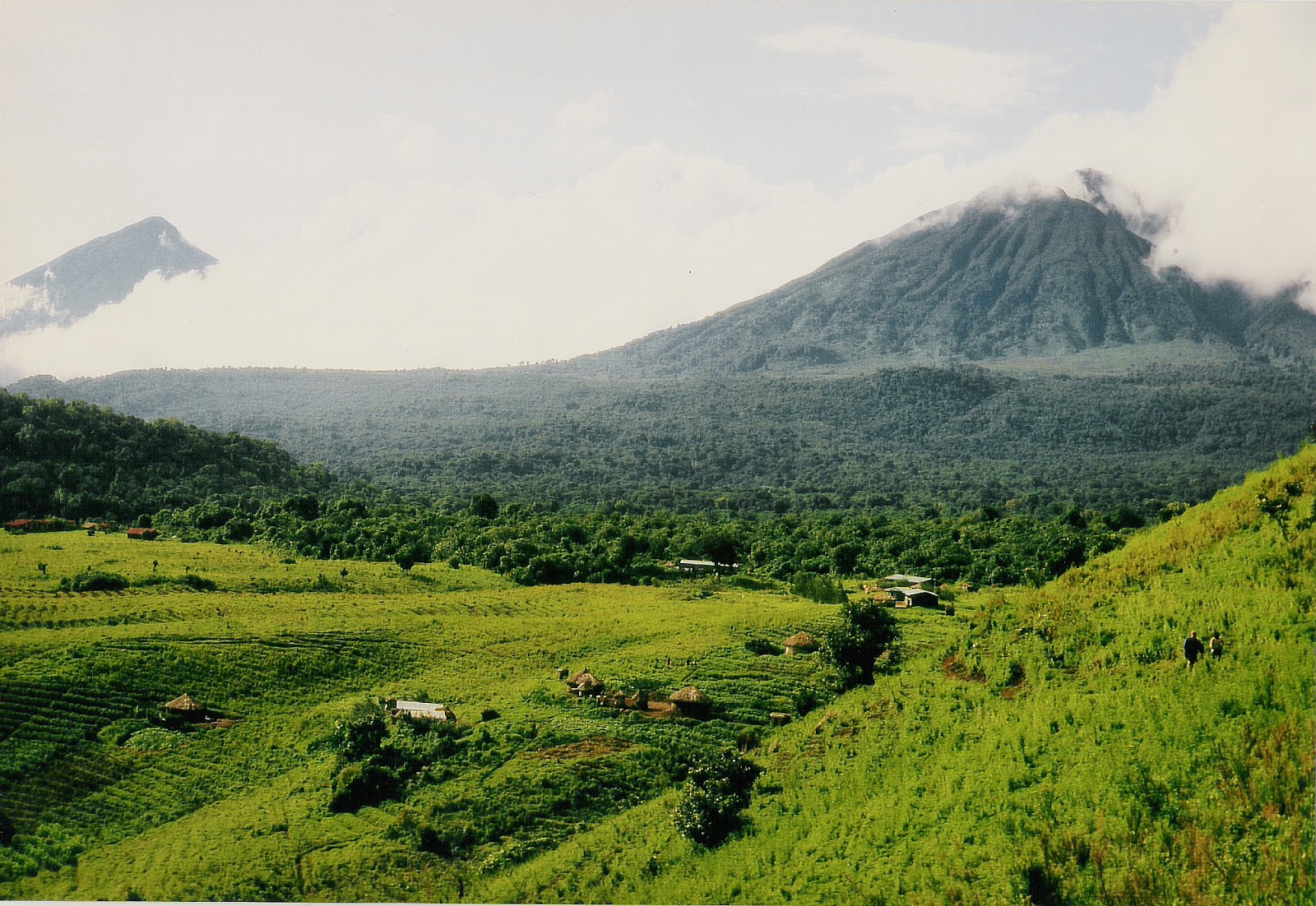 Parque Nacional Virunga | Parques Nacionales de España y Africa.