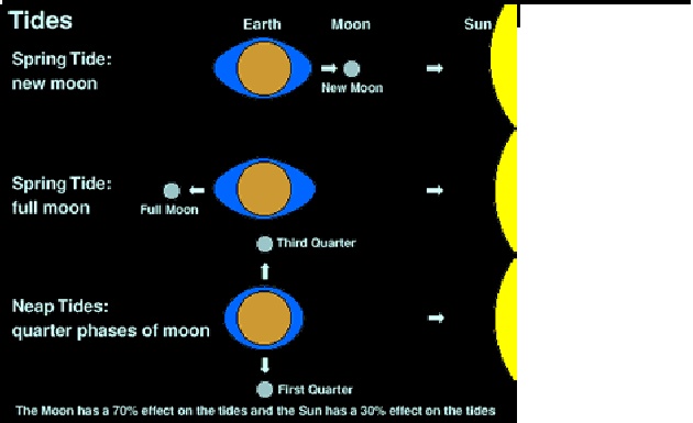 Pengertian Pasang Surut Air Laut ~ M. SUFRON NUGROHO