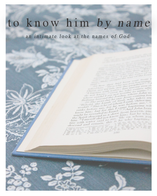 Janet Ables Blog: Books and Bible Studies