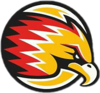 Escudo de Halcones dorados O11ce