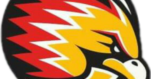 Escudo de Halcones dorados O11ce