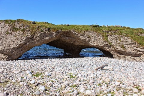 Gaspe and Canadian Provinces July 13, 2014: Day 48 - Travel Day - Deer ...