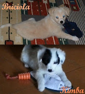 CriBri: Citazioni preferite