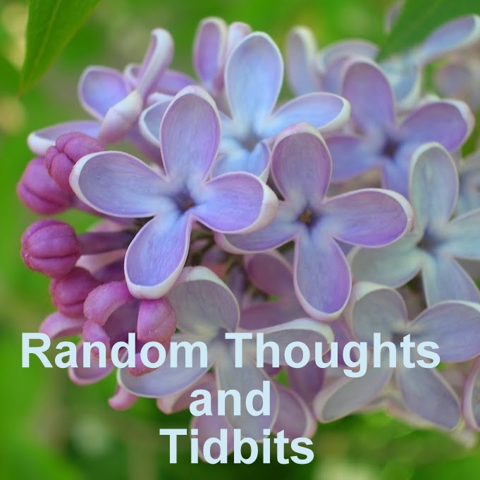 Rindy Mae: Random Thoughts & Tidbits: Part 13