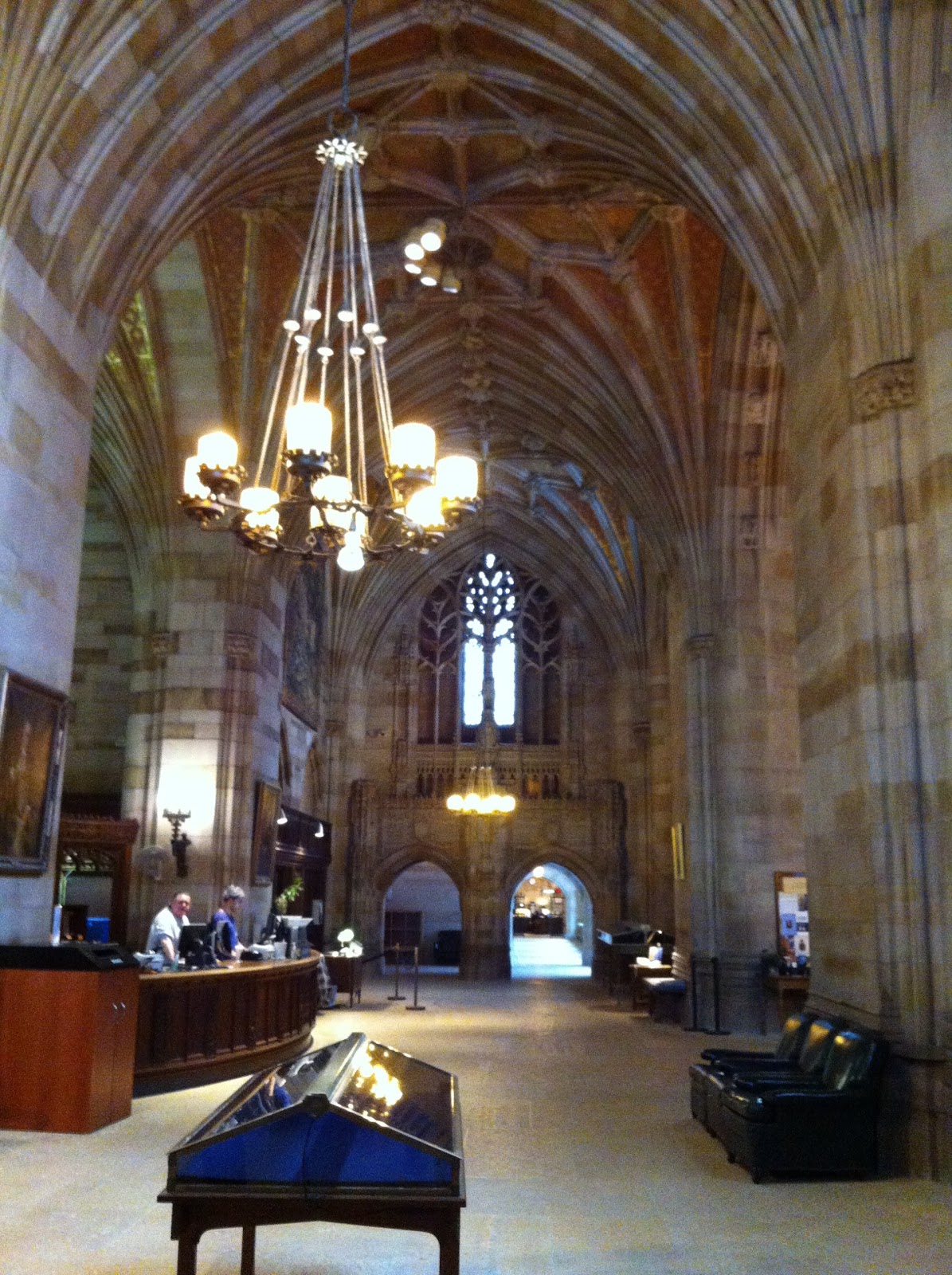 Yale - The Urban Birder