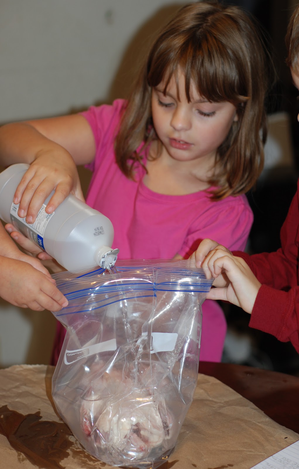 School of Monkeys: Chicken Mummy - Living History Lessons