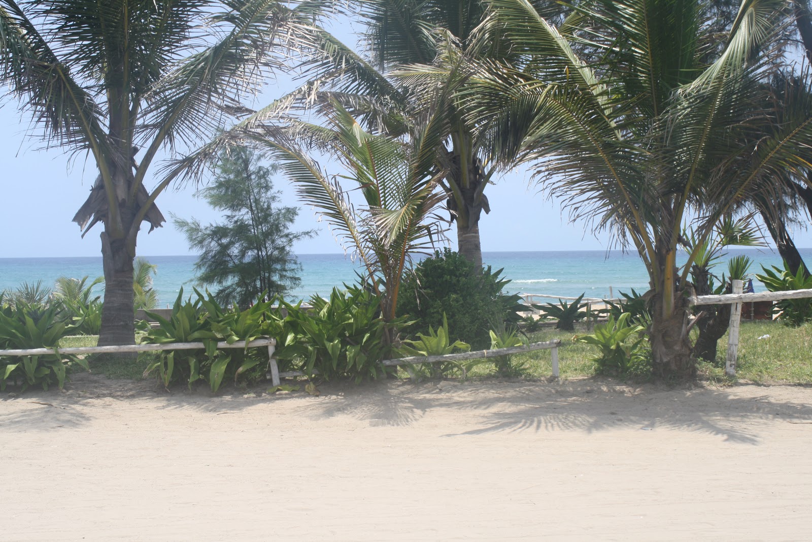 crocodilo vaidoso: praia do tofo - inhambane - moçambique