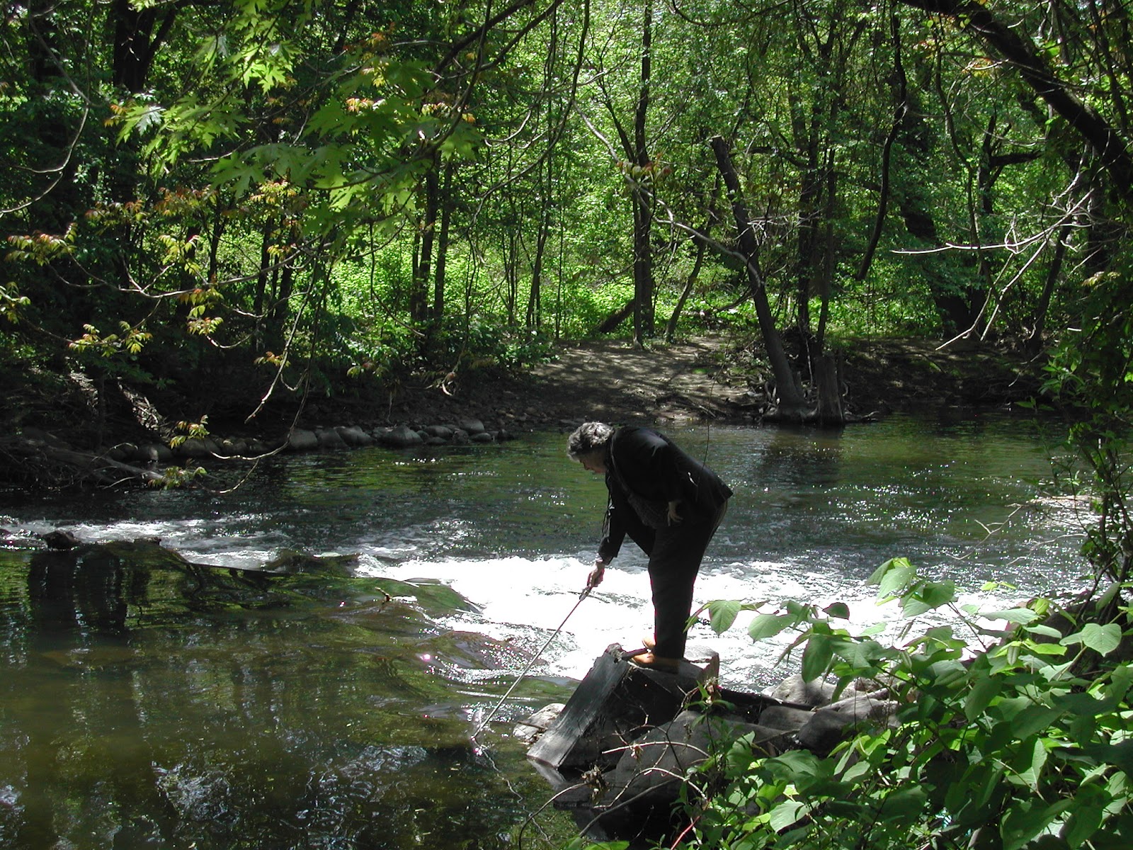 Ramapo Lookout: Multiple Threats along the Ramapo River