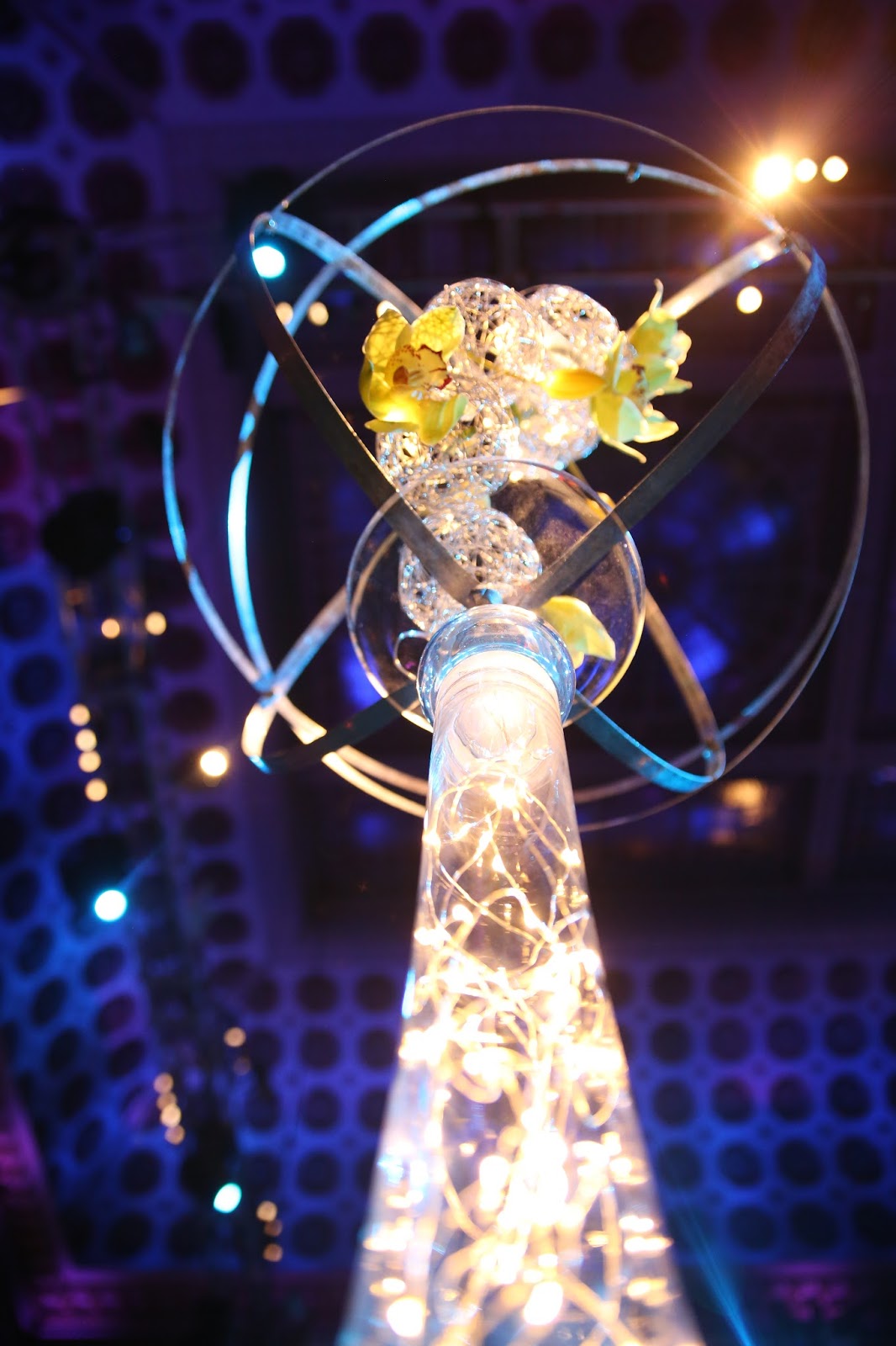 Event Spotlight: Professional PT - Event Kings