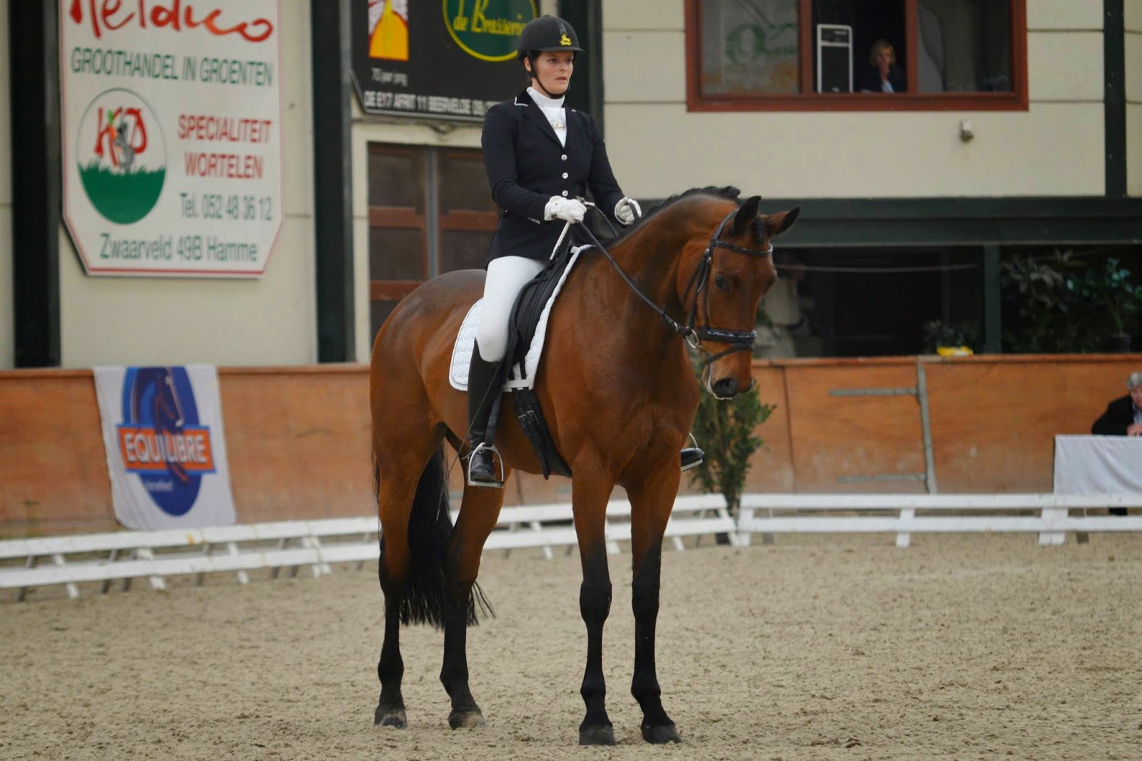 Gillis De Coninck: Finale S&A Dressuurcup