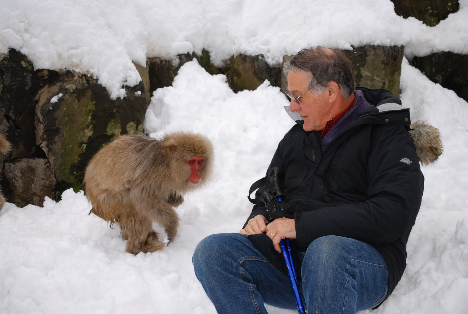 Japan Journal: Snow Monkeys, the Japanese "Alps" and Onsen