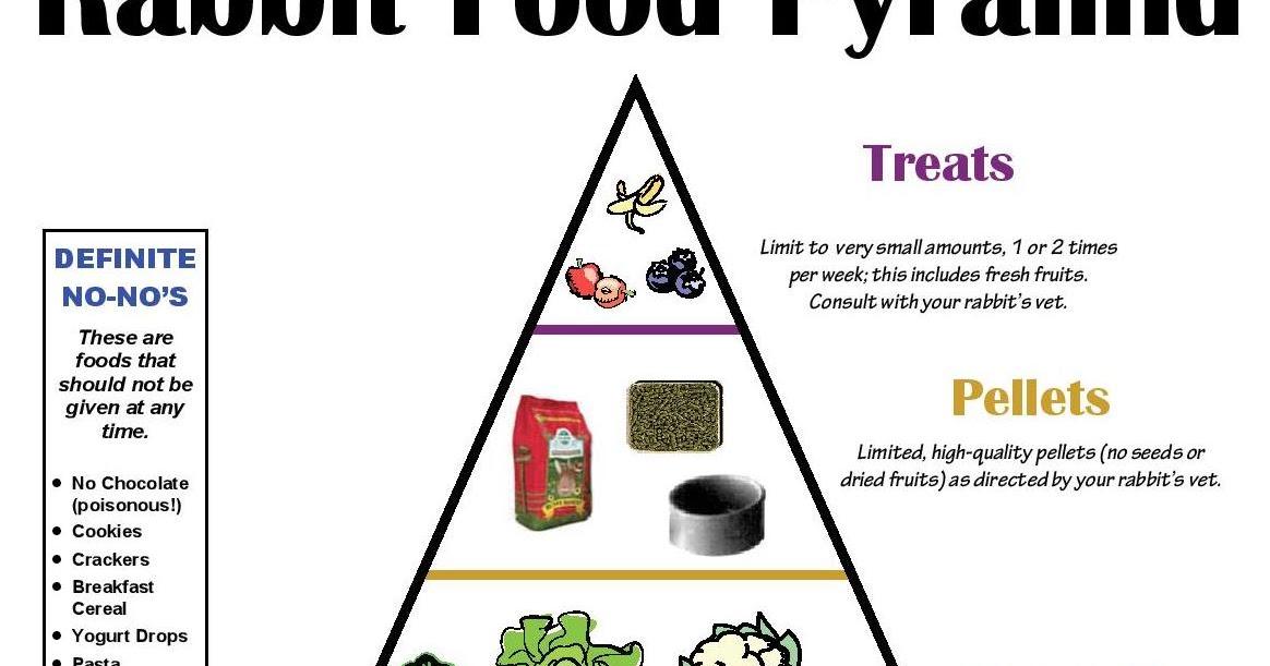 Rabbit Ramblings: Bunny care: What is a treat?