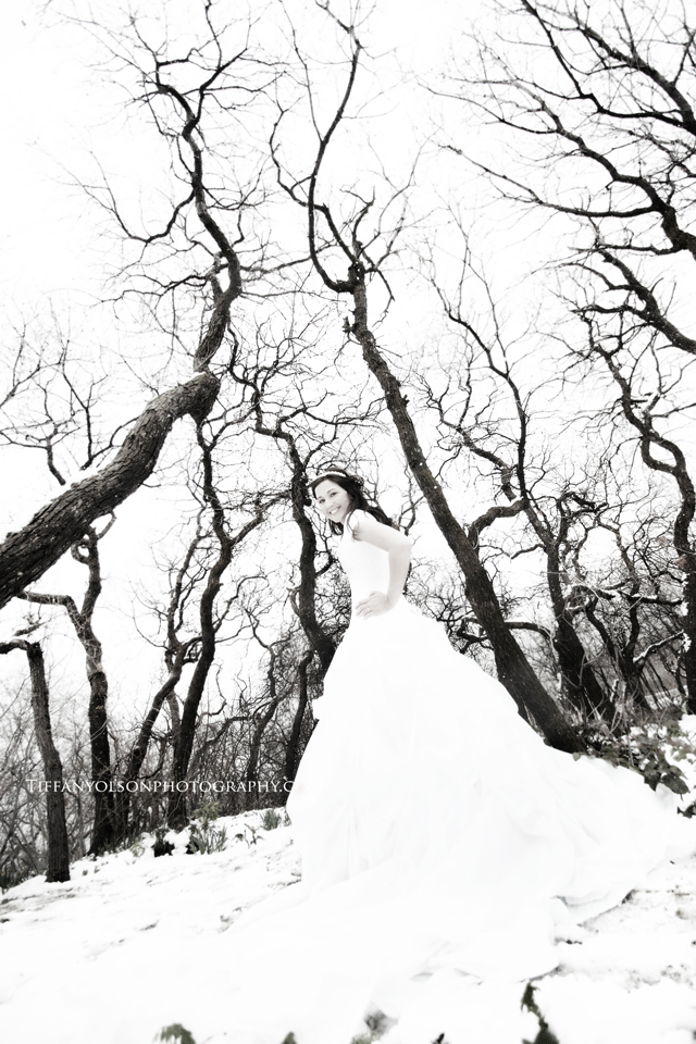 Tiffany Olson Photography