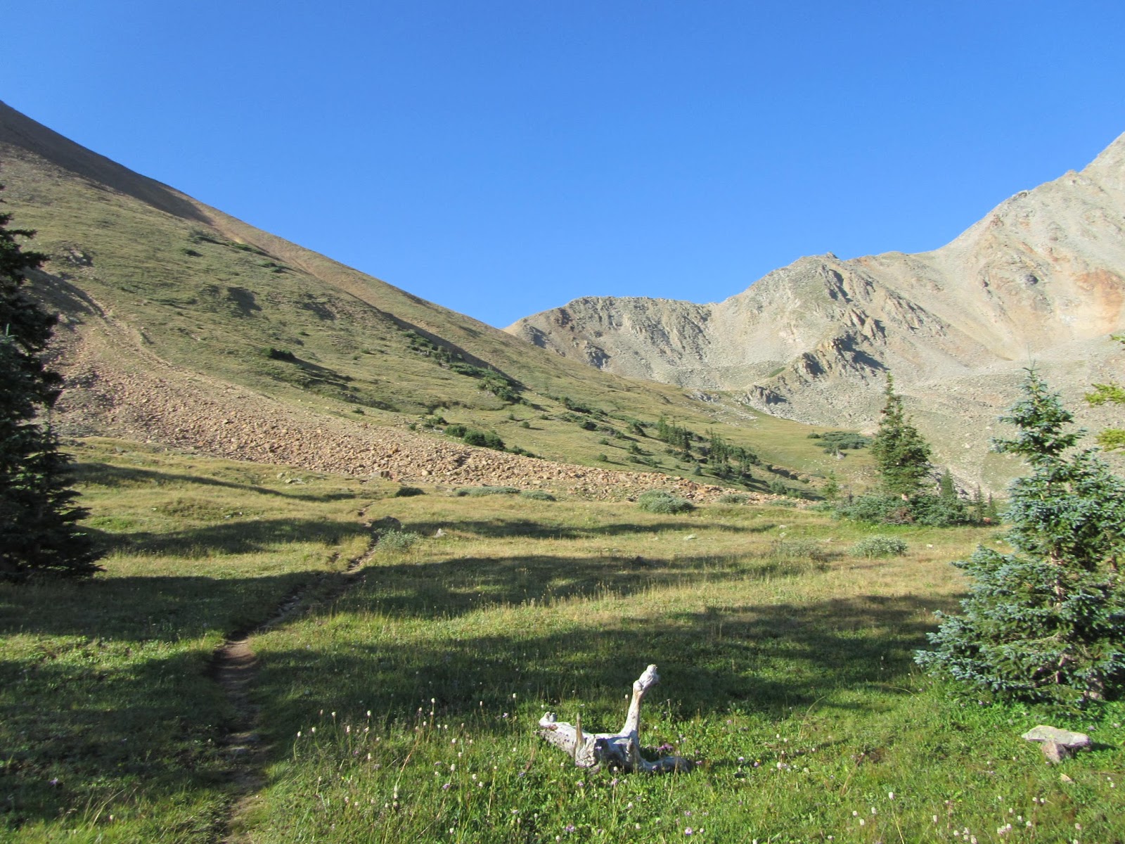 Tomcat's Outdoor Adventures: Backpacking the Collegiate Loop