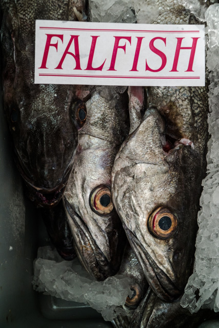 Through the Gaps! - Newlyn Fishing News: 01/07/16 - 01/08/16 Cornwall ...