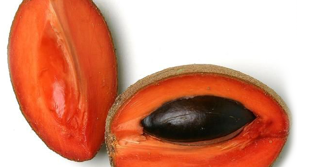 VIVACEMENTE il giornalino del cuore e della mente: Lo zapote, frutto ...