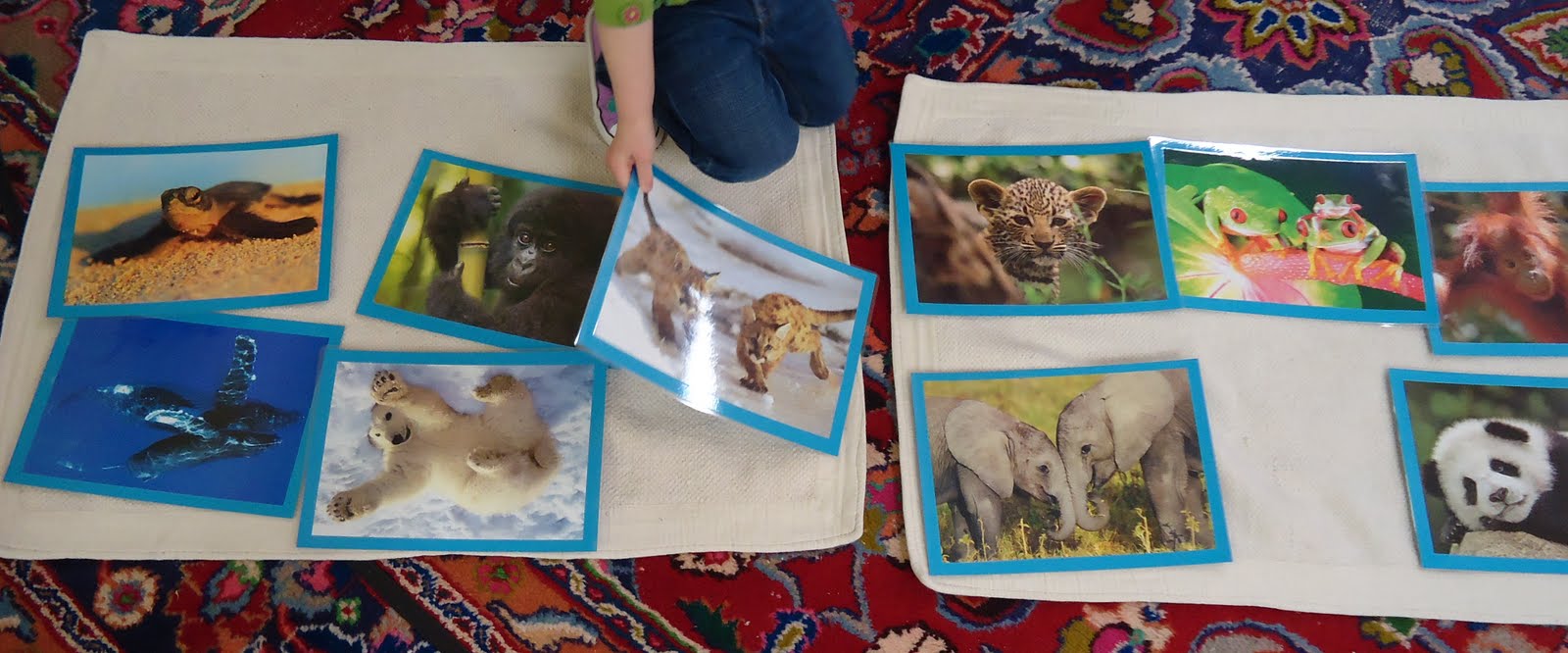 To the Lesson!: This Week's Activities