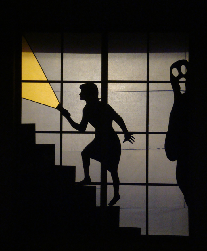 Nancy Drew Game Silhouette