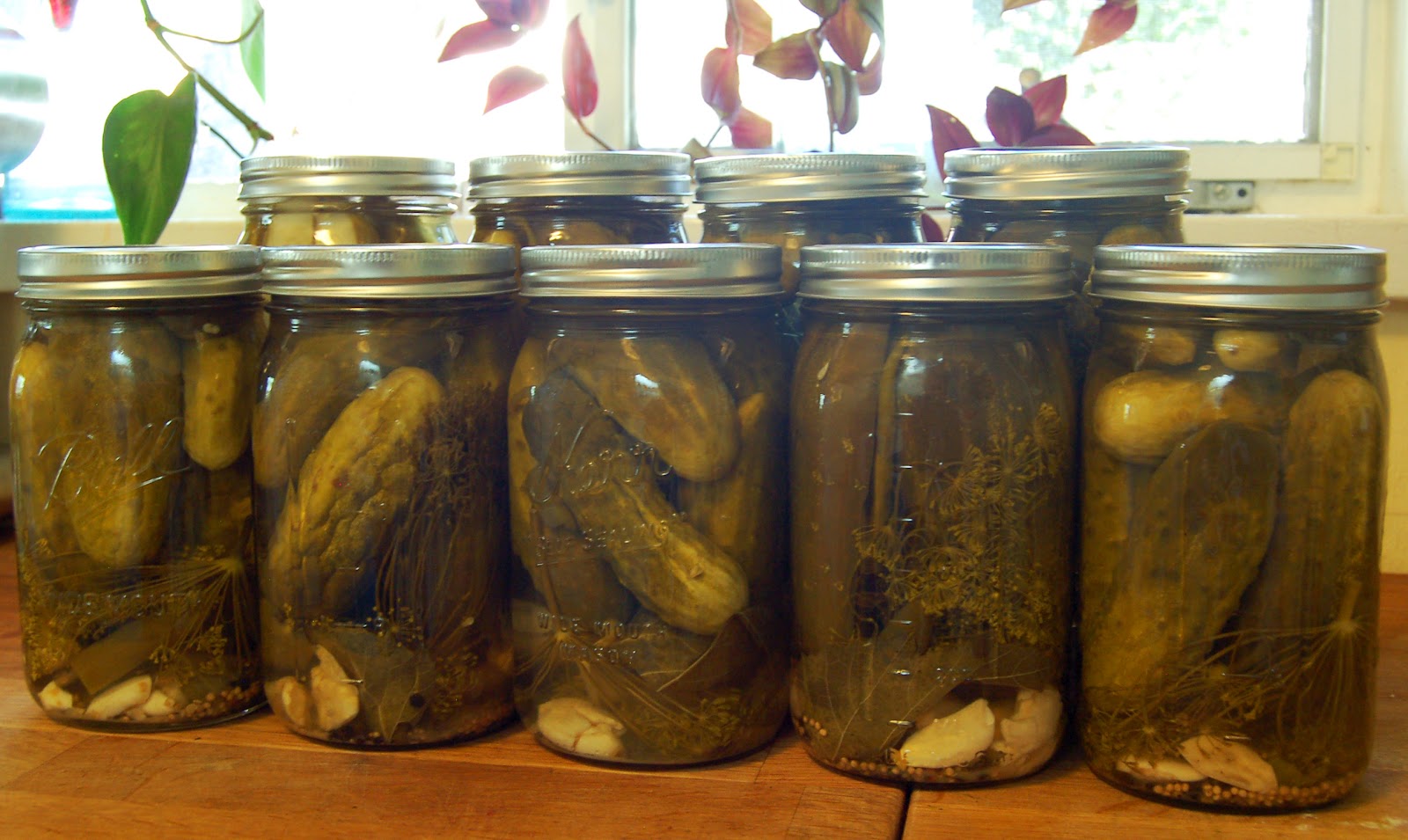 The Spice Island: Best Damn Garlic Dill Pickles on Earth