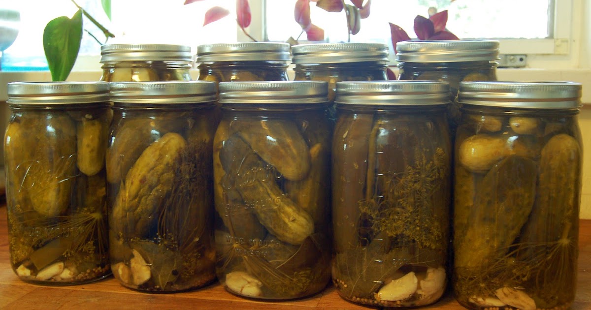 The Spice Island: Best Damn Garlic Dill Pickles on Earth